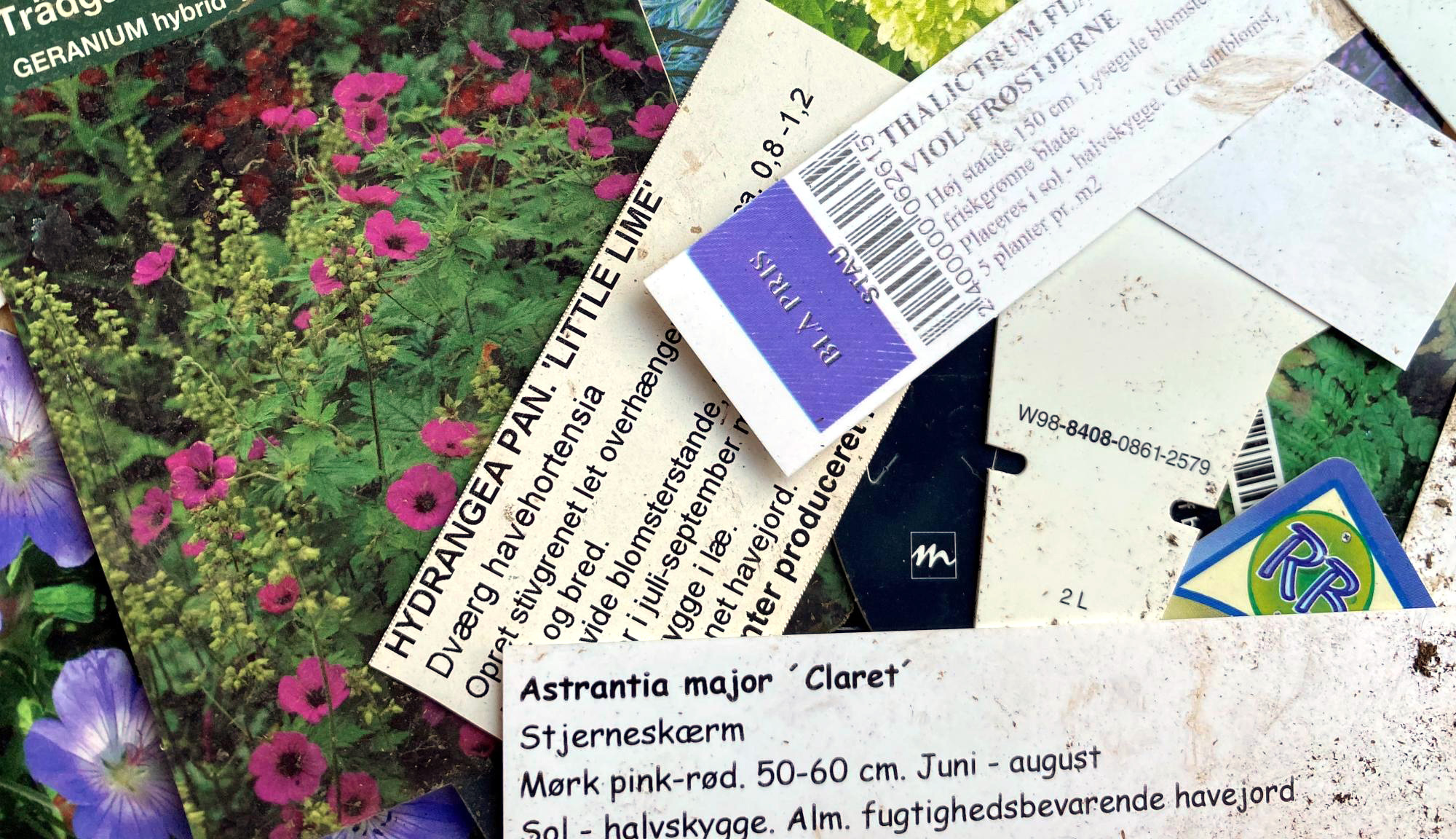 Plantelatin for begyndere