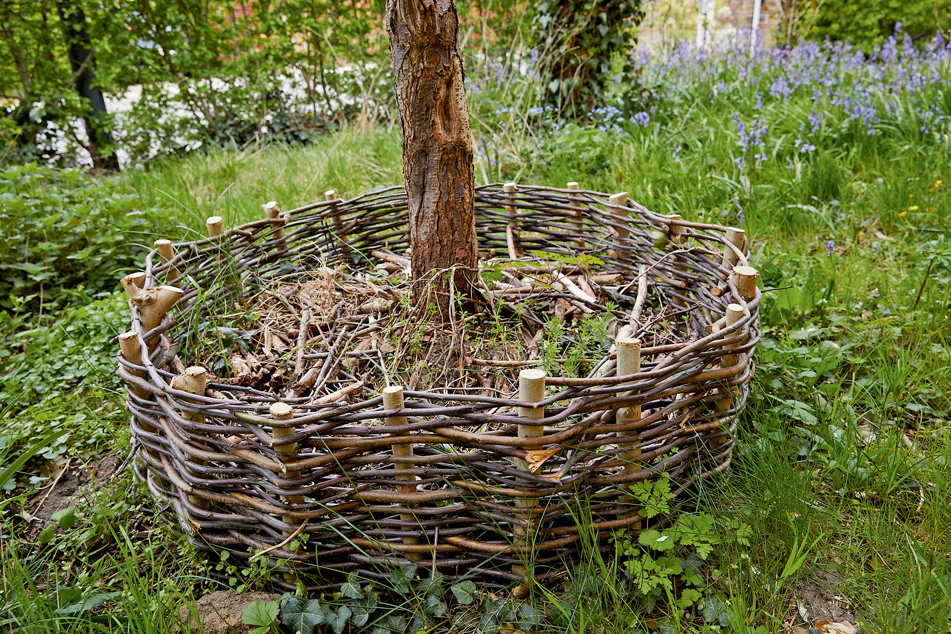 Hvordan gør jeg min have mere bæredygtig og klimavenlig?