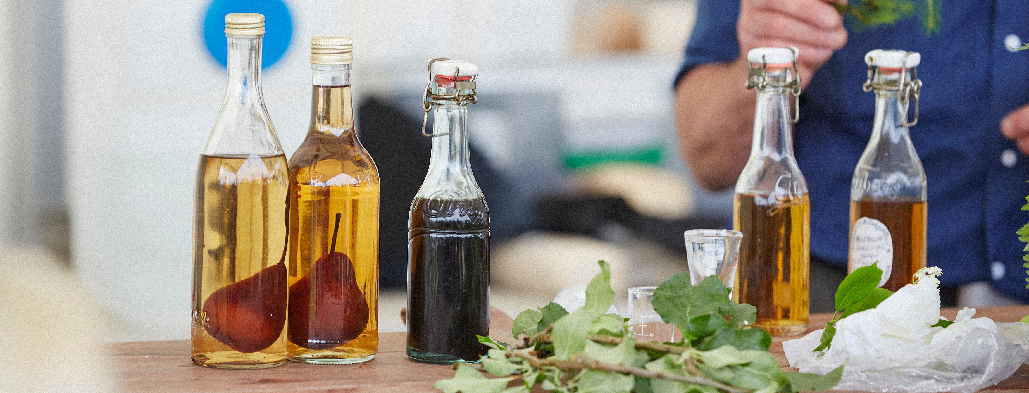 Bryg snaps med urter fra haven