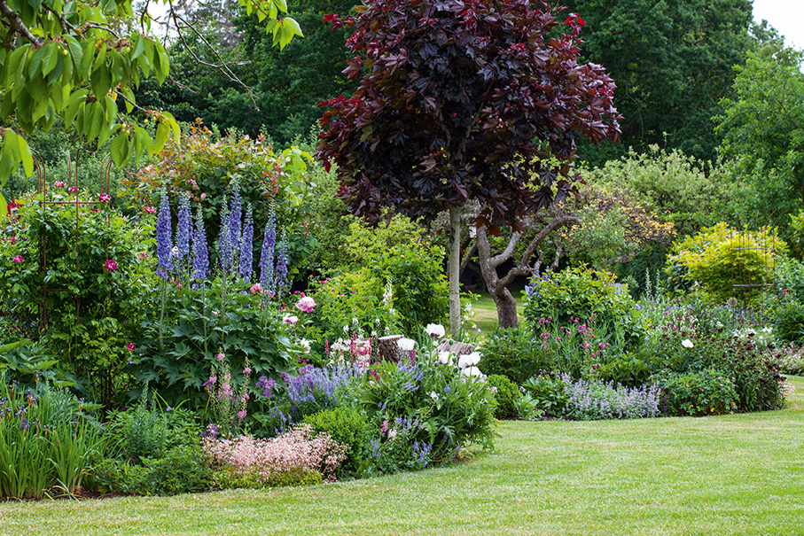 Gode råd om indretning af haven fra havedesigner Helle Troelsen