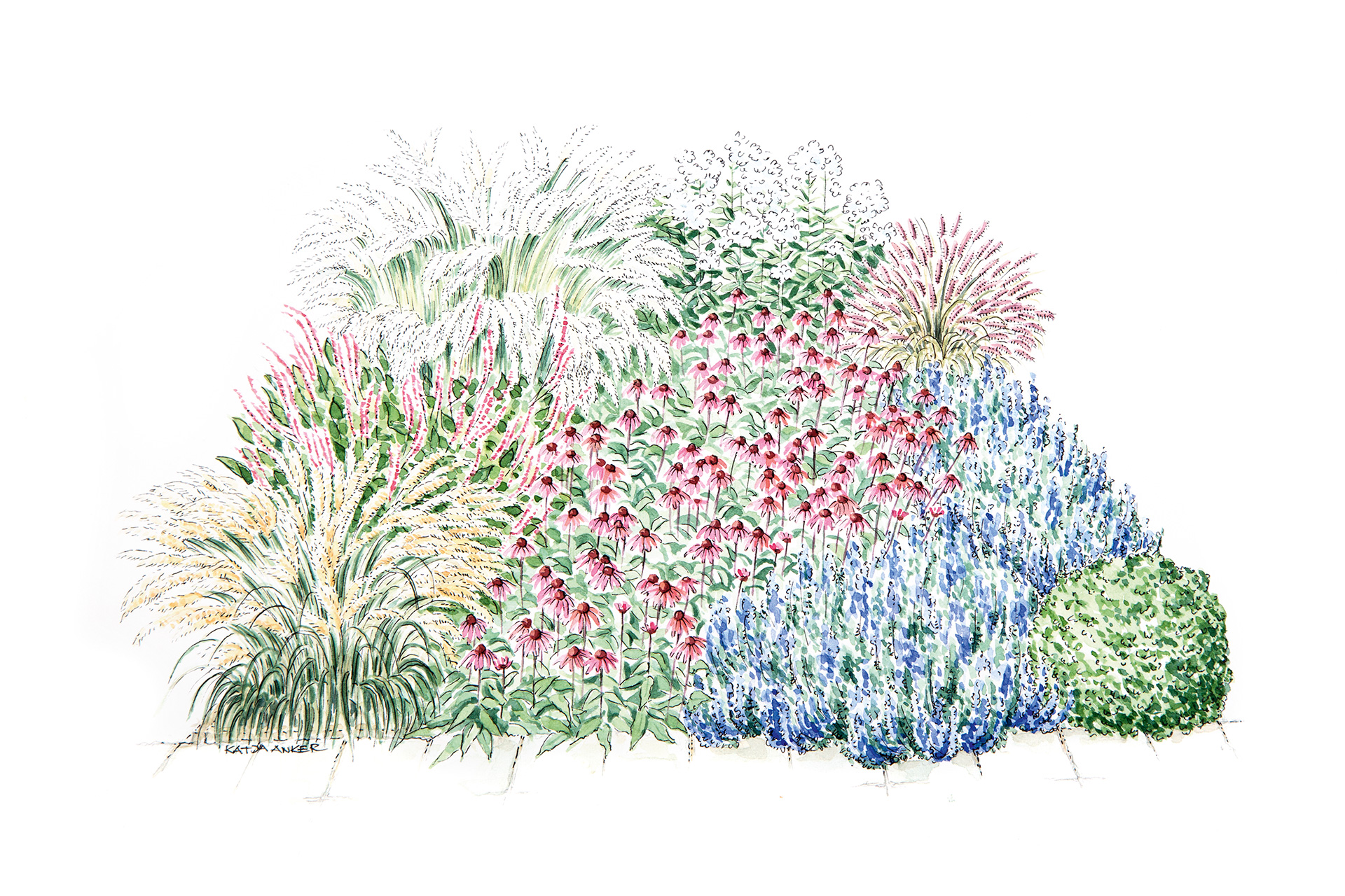 Opskriften på et nemt staudebed med græsser