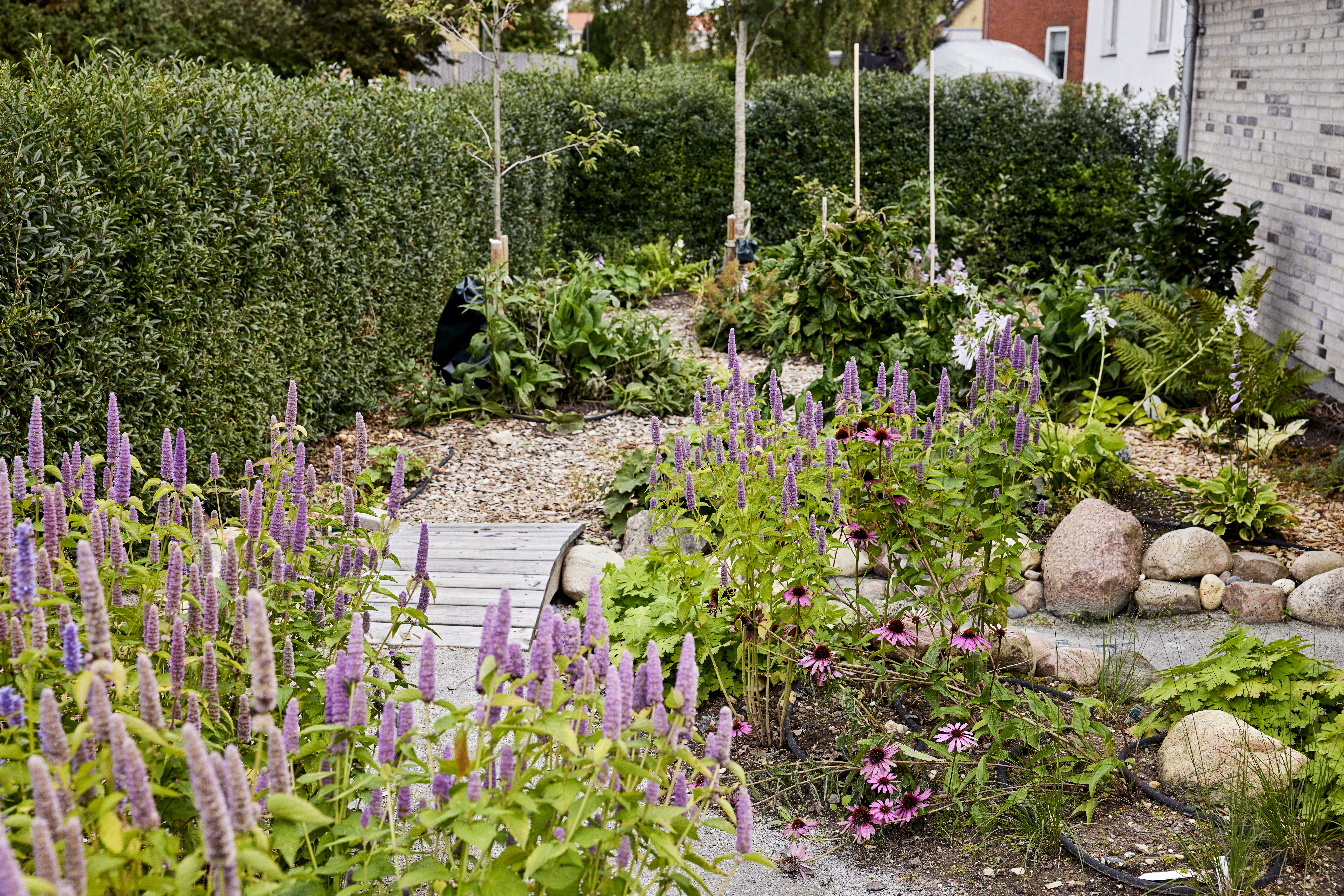 Her kan hele familien leve og lege