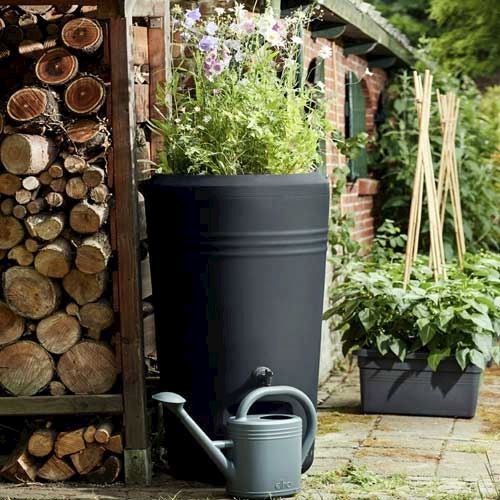 Brug dit regnvand i haven.