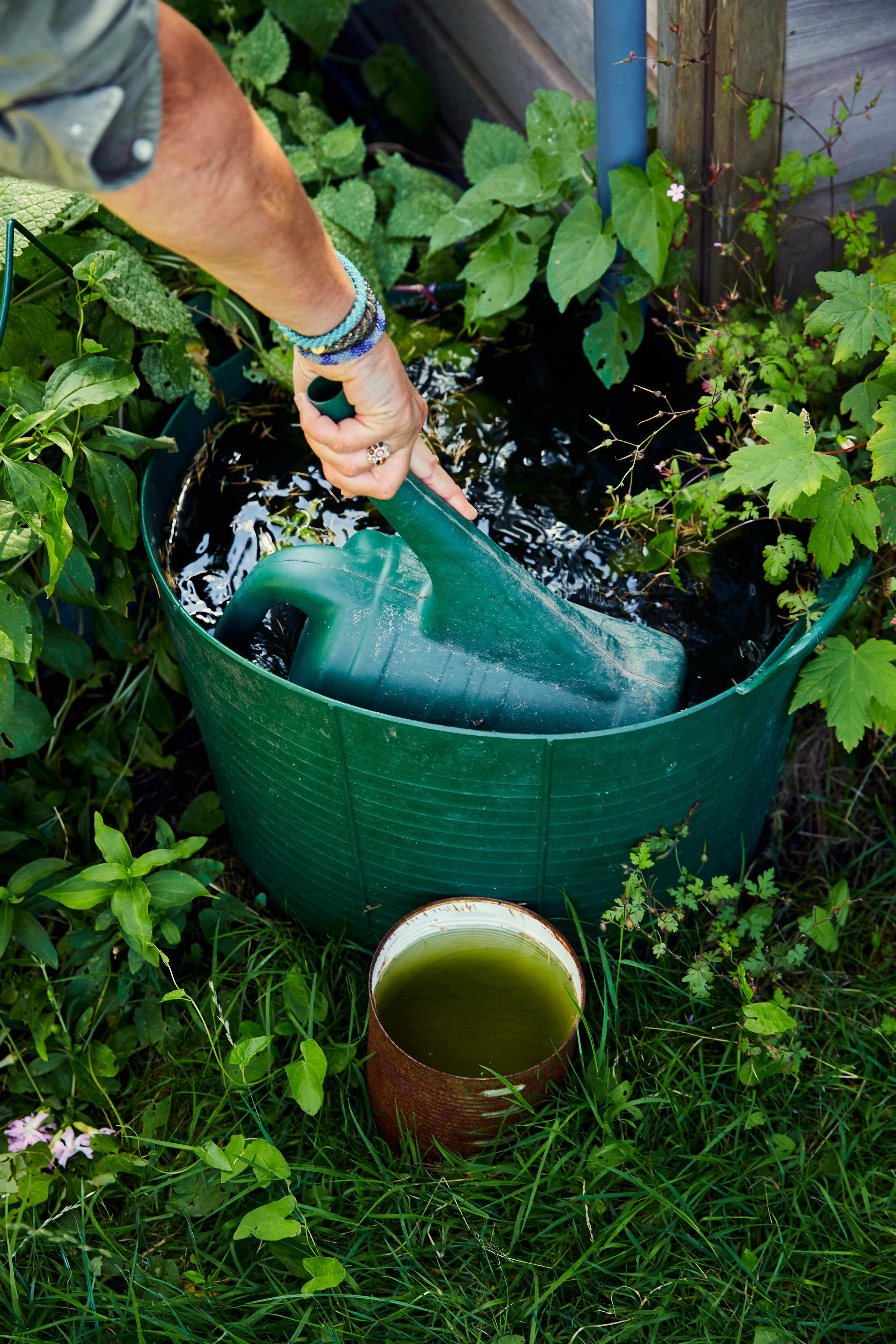 Brug dit regnvand i haven.