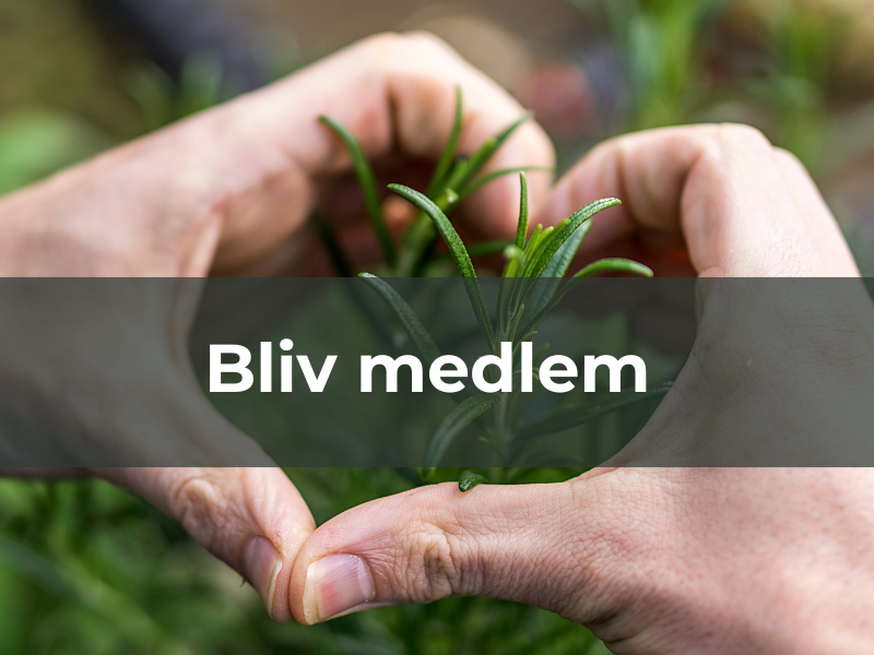 Haveselskabet | Bliv haveglad og haveklog fra kun 59 kr. om måneden