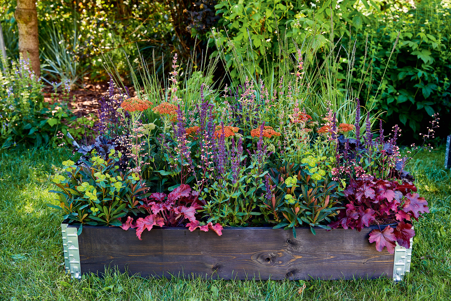 Få styr på farverne i staudebedet