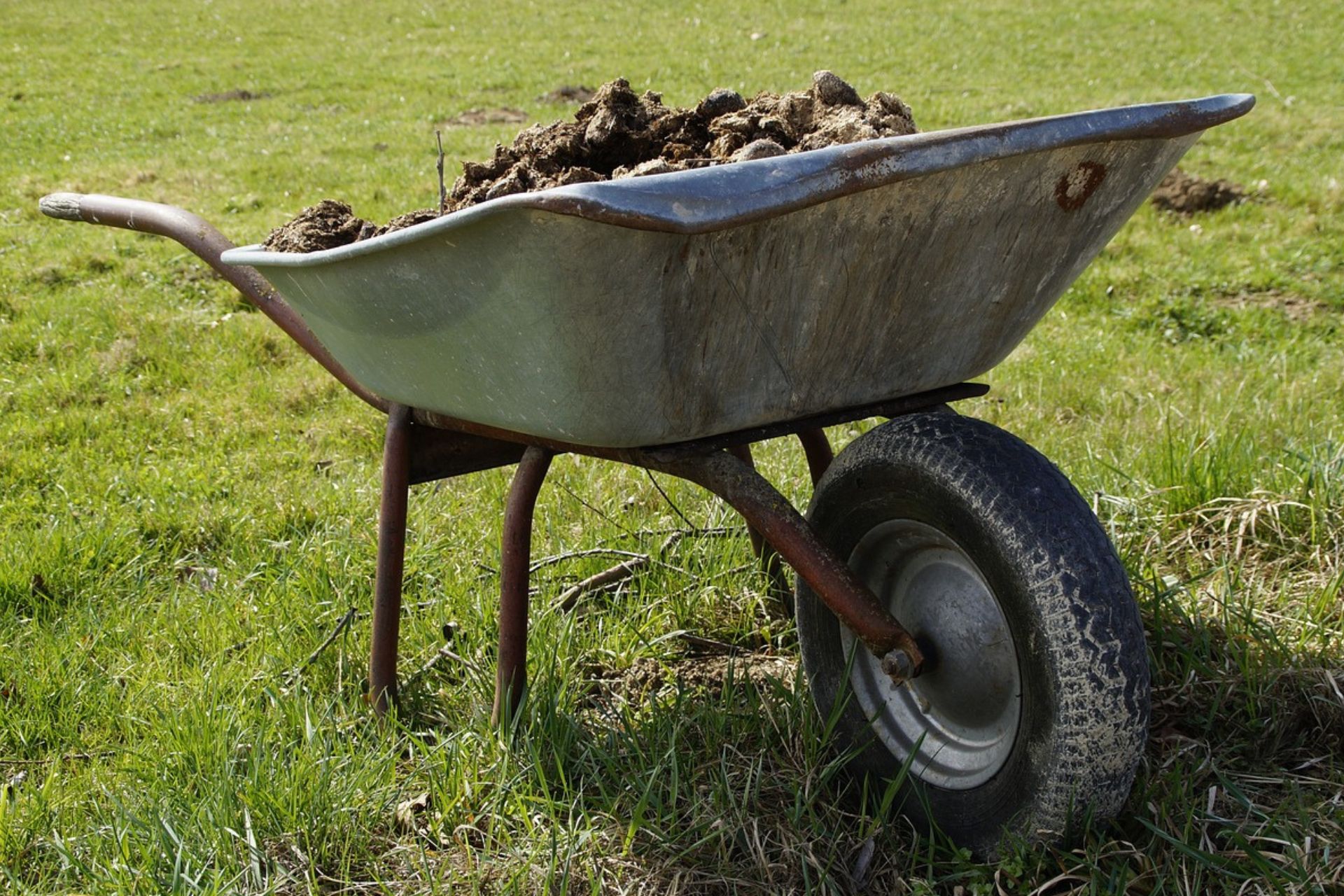 Gødning i køkkenhaven | organsik gødning | Kunstgødning | mineralsk gødning