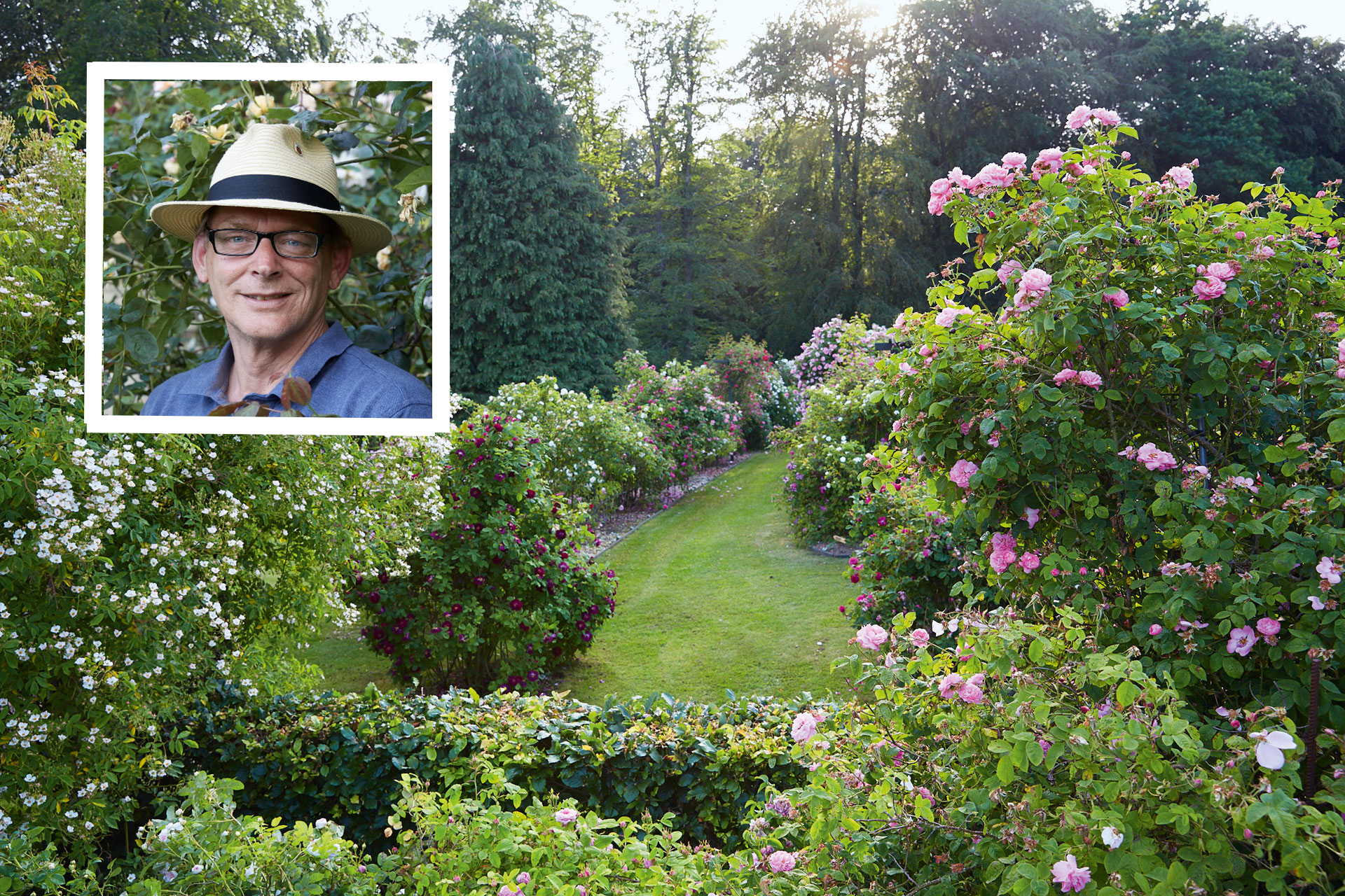 Rosennørd med over 500 forskellige historiske roser