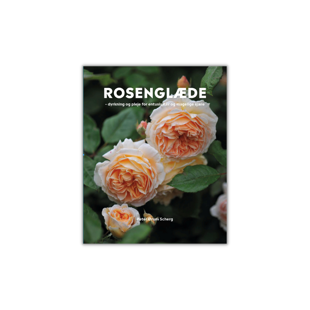 Rosenglæde