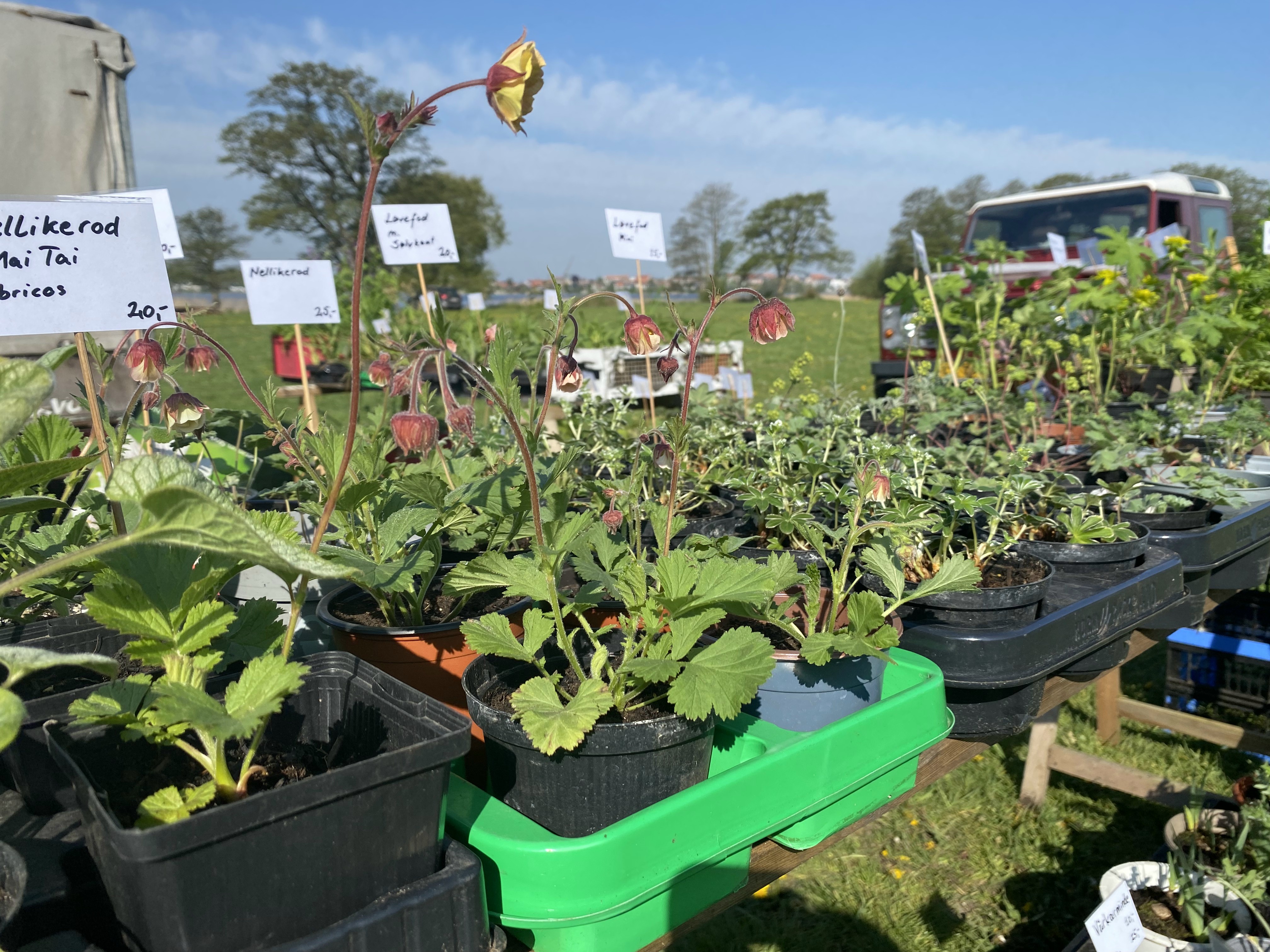 Vestermølle Havemarked