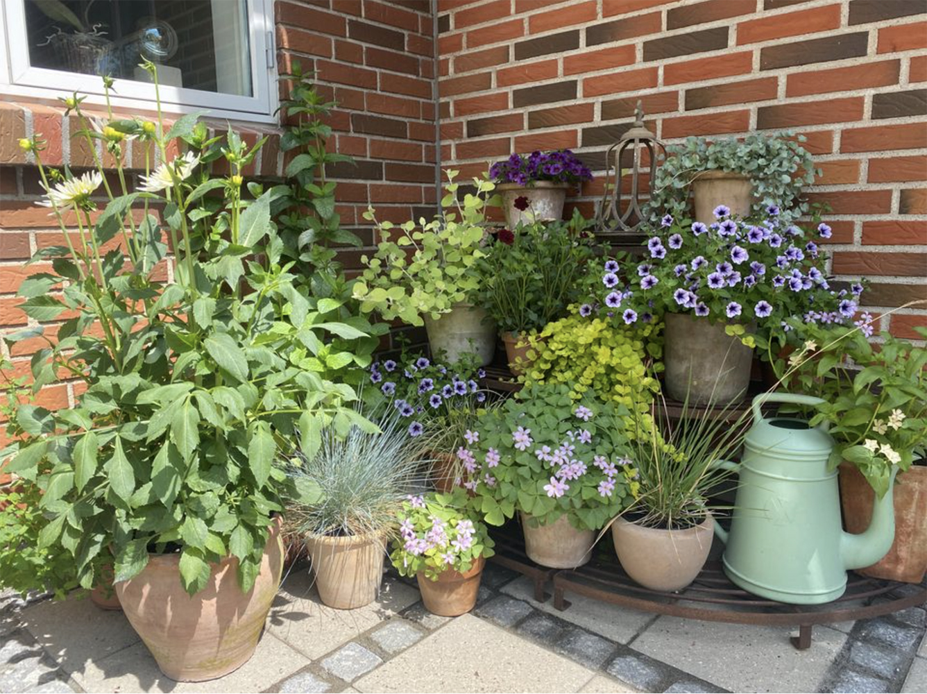 Gør haven ferieklar - her er 7 ting du kan gøre